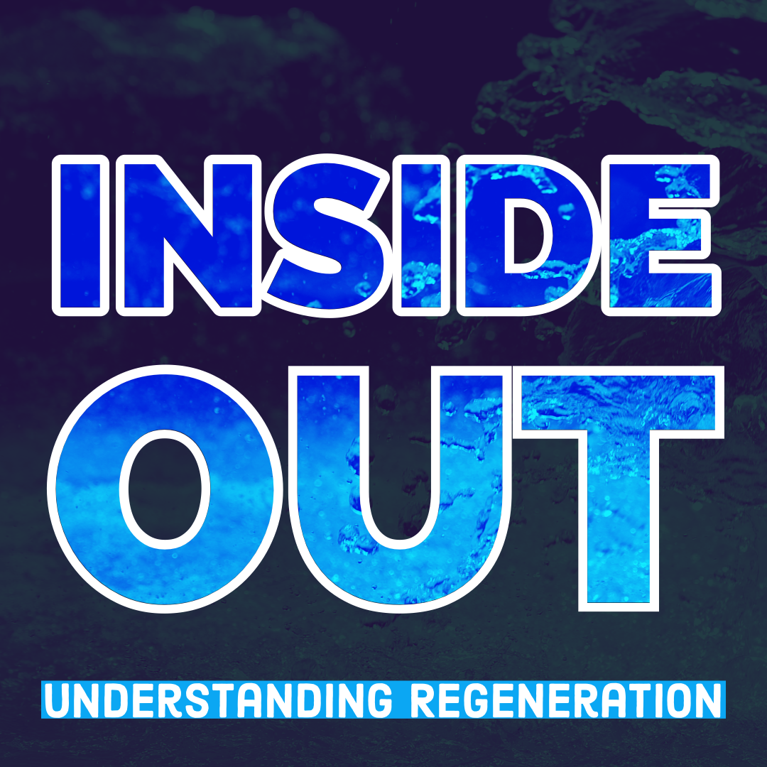 The Kingdom Perspective: INSIDE OUT – The Scripture Feed